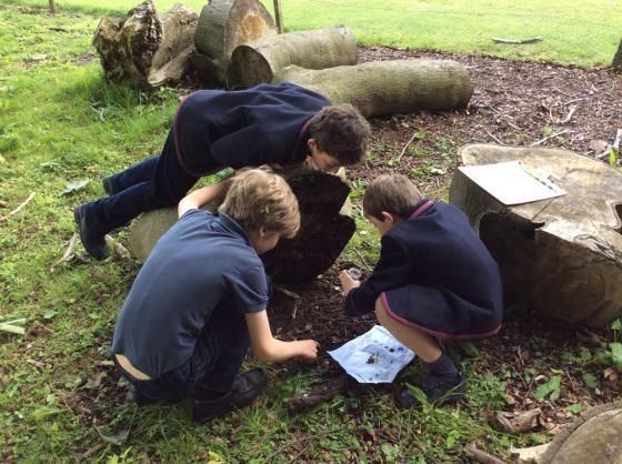 Years 7 & 8 | Northbourne Park School