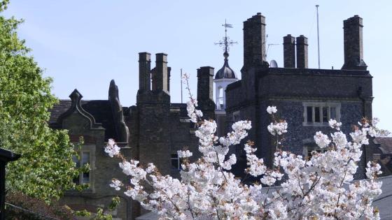 Meet the Team | Northbourne Park School